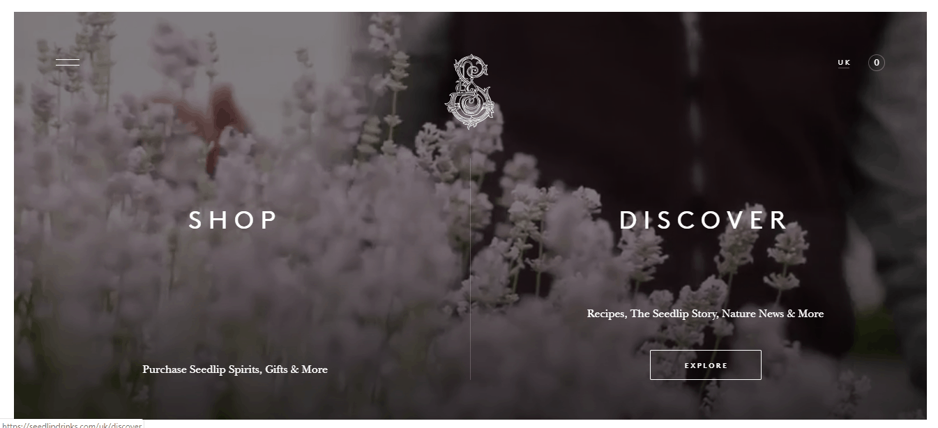 50 Best eCommerce Website Design Examples – Plerdy