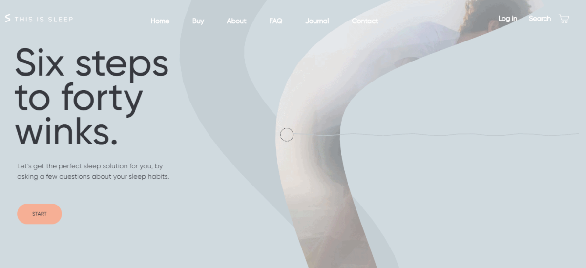 50 Best eCommerce Website Design Examples – Plerdy