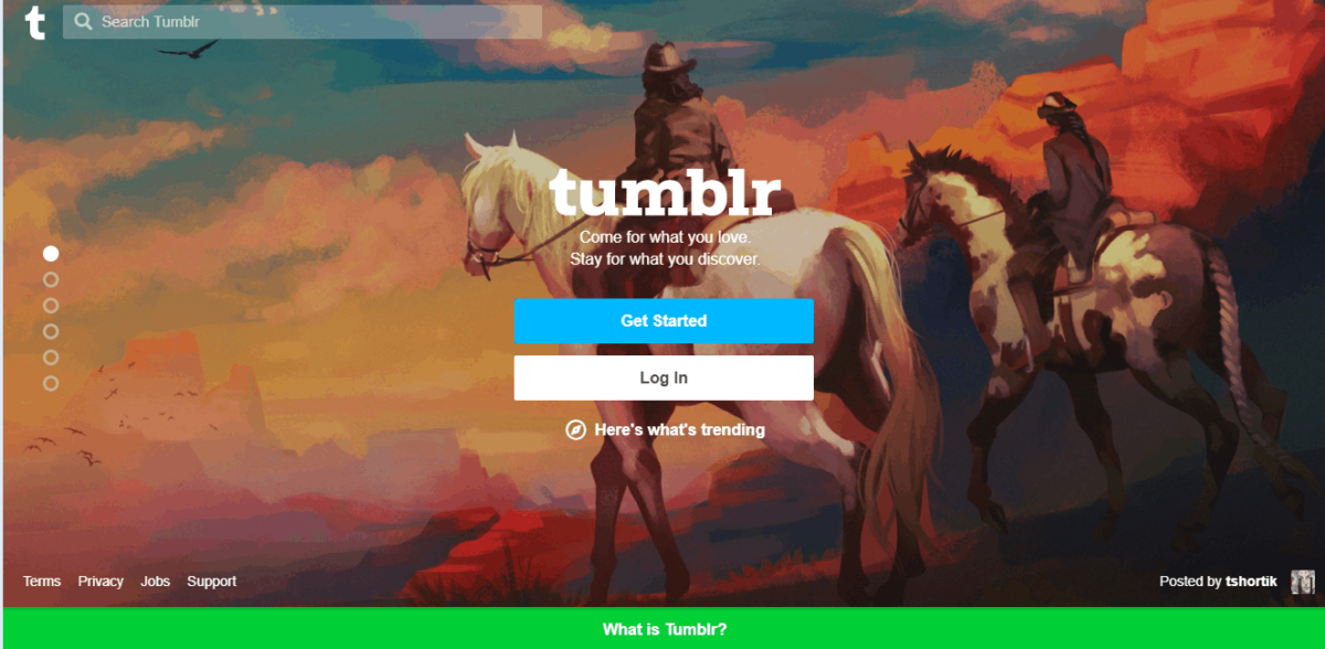 How to Make a Tumblr Blog Website – Plerdy