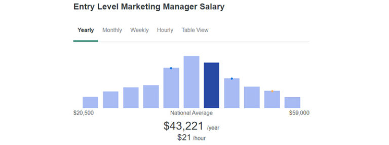 Marketing Manager Salary – Plerdy