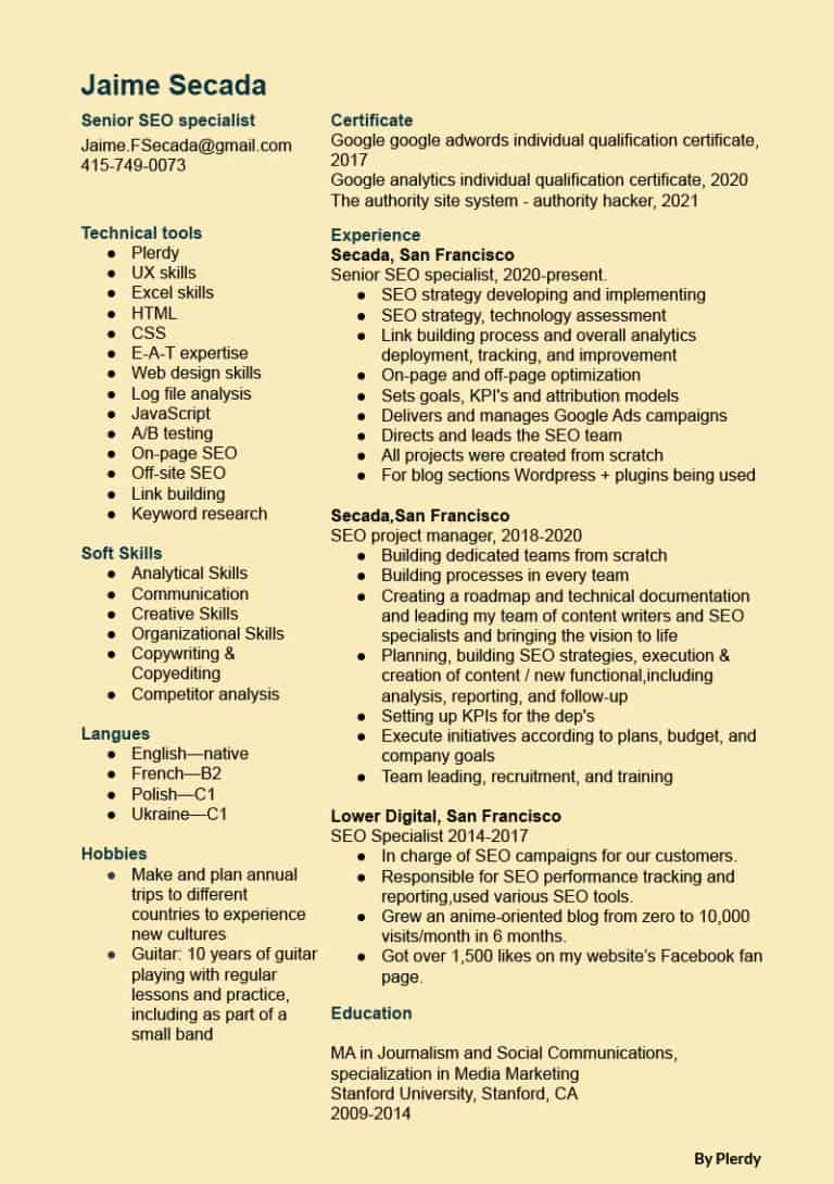SEO Specialist Resume Examples – Plerdy