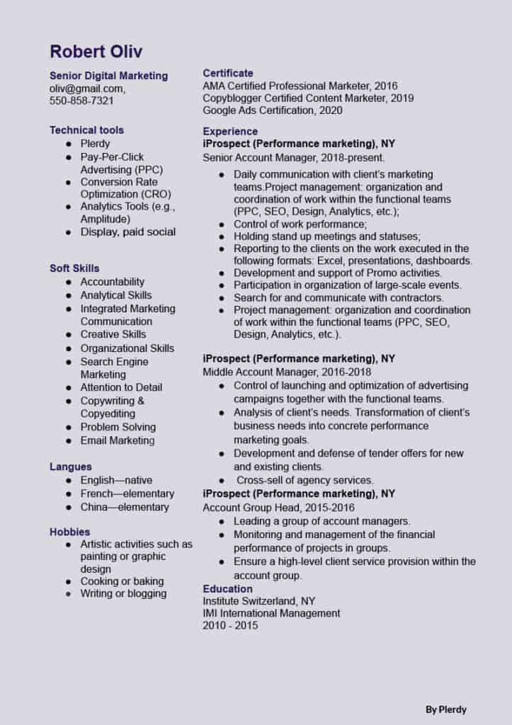 5 Digital Marketing Resume Examples – Plerdy