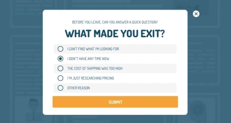 5 Tips for Website Exit Intent Survey – Plerdy