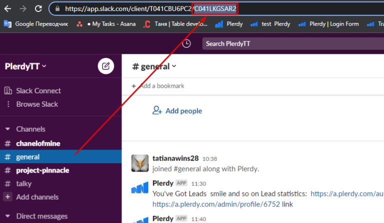 Slack Integration – Plerdy