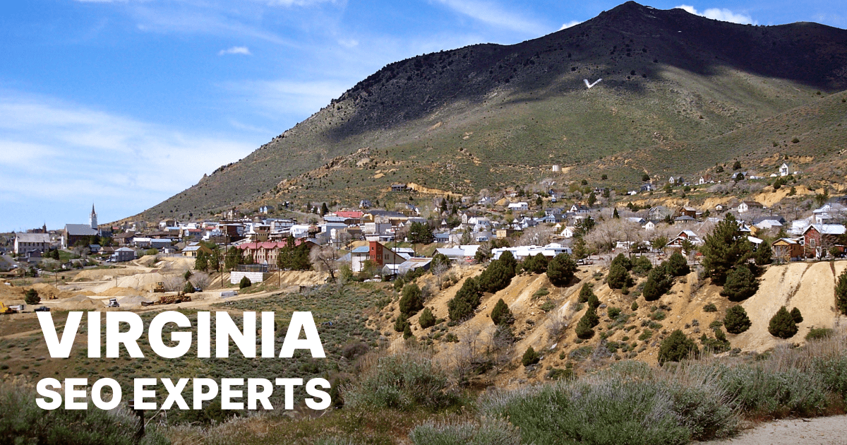 15 Best SEO Experts in Virginia in 2025 – Plerdy