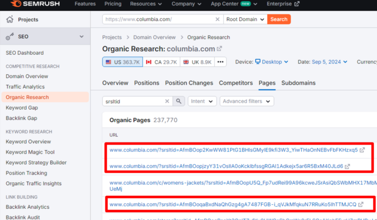 SRSLTID Parameter: Google’s New Bug and How to Fix It – Plerdy