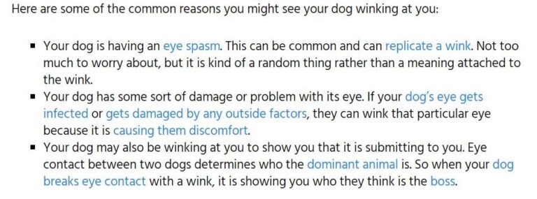 Hyperlink Design: Best Practices and Modern Strategies – Plerdy