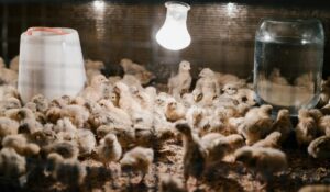 10 Best Startup Incubators for 2025 – Plerdy