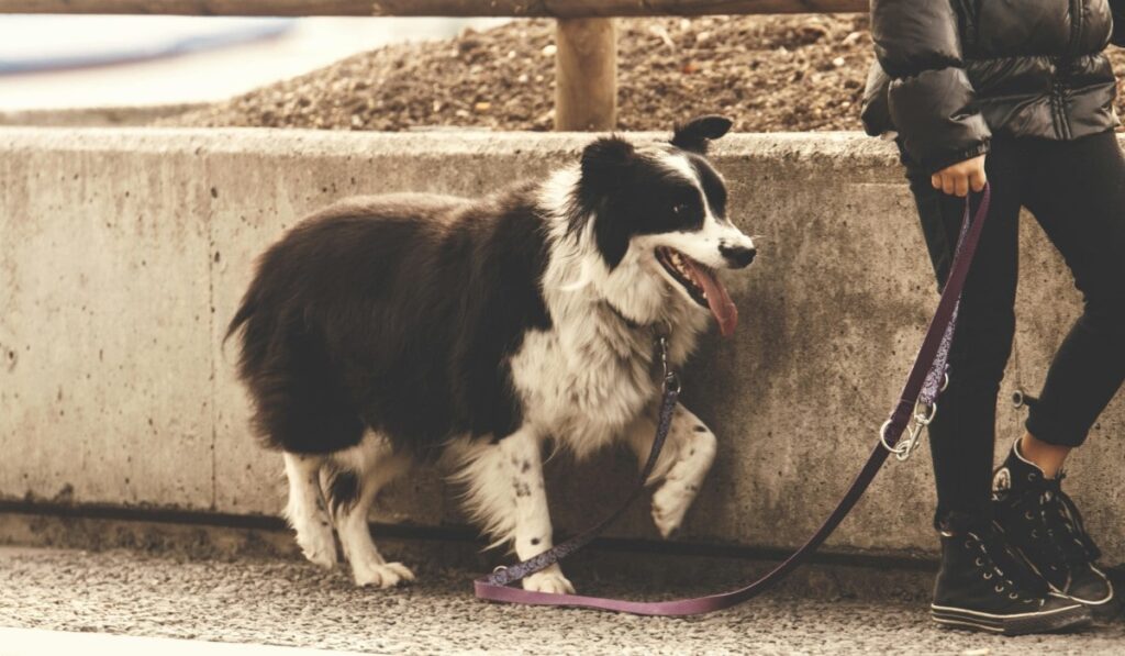 25 Best Business Ideas for Students in 2025 – Plerdy